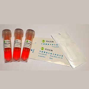 Formaldehyde fumigation sterilization biological indicator - 嘉兴科见生物技术有限公司
