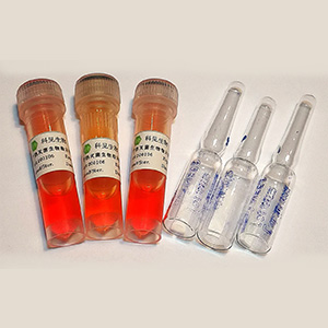 Biological indicator - 嘉兴科见生物技术有限公司