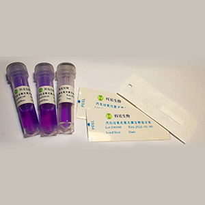 Biological indicator - 嘉兴科见生物技术有限公司